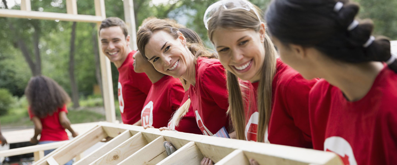 Volunteer Home · Starter Portal